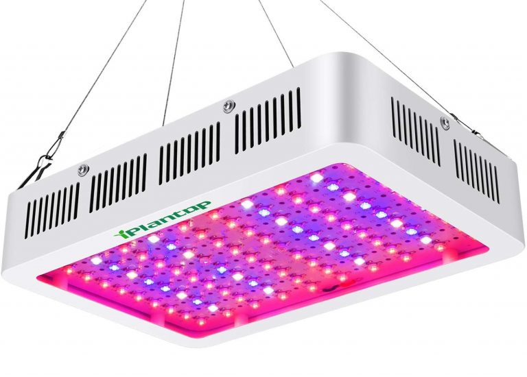 12 Best LED Grow Lights For Marijuana In 2021 - Marijuana Science