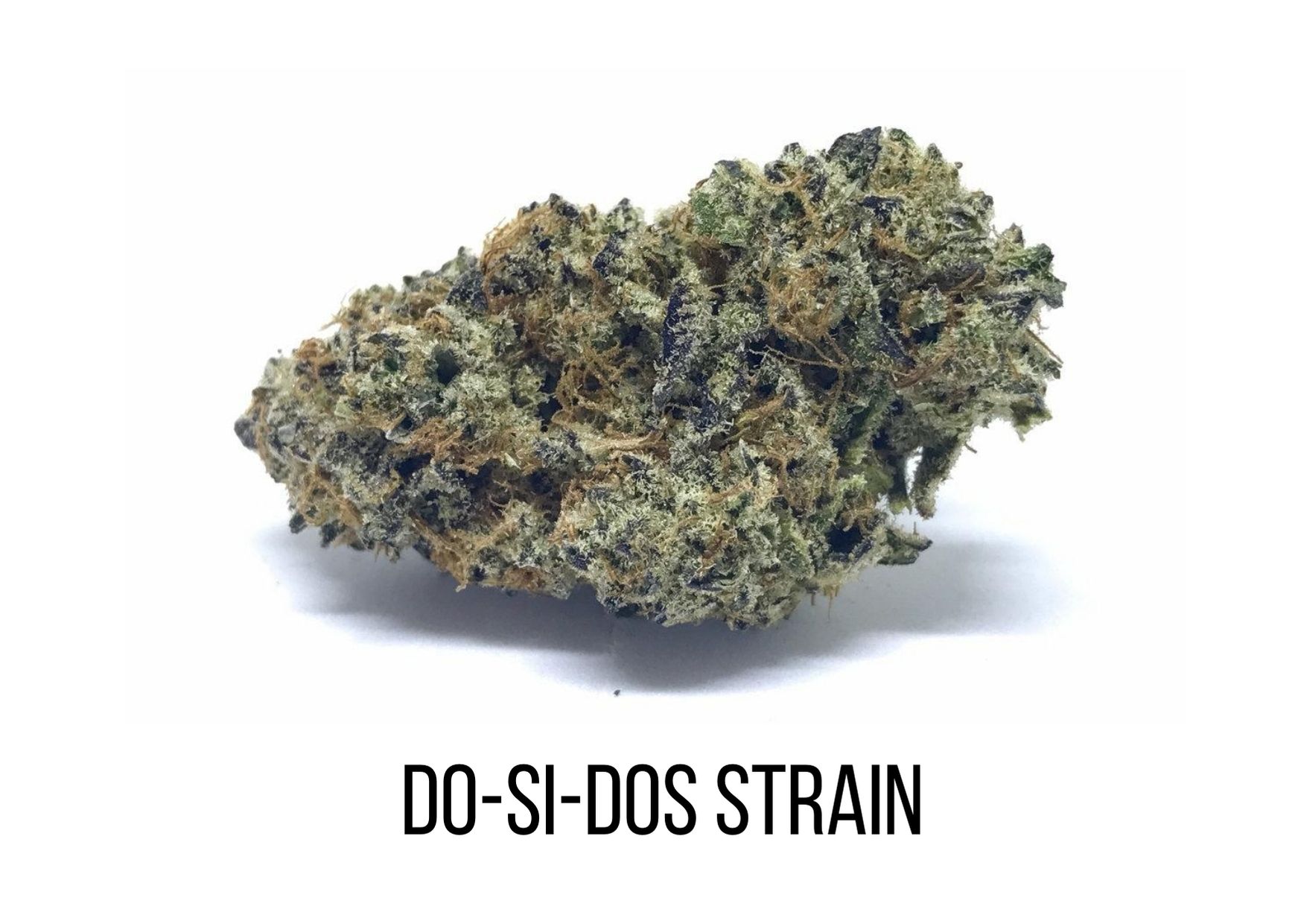 Strain Reviews - Marijuana Science